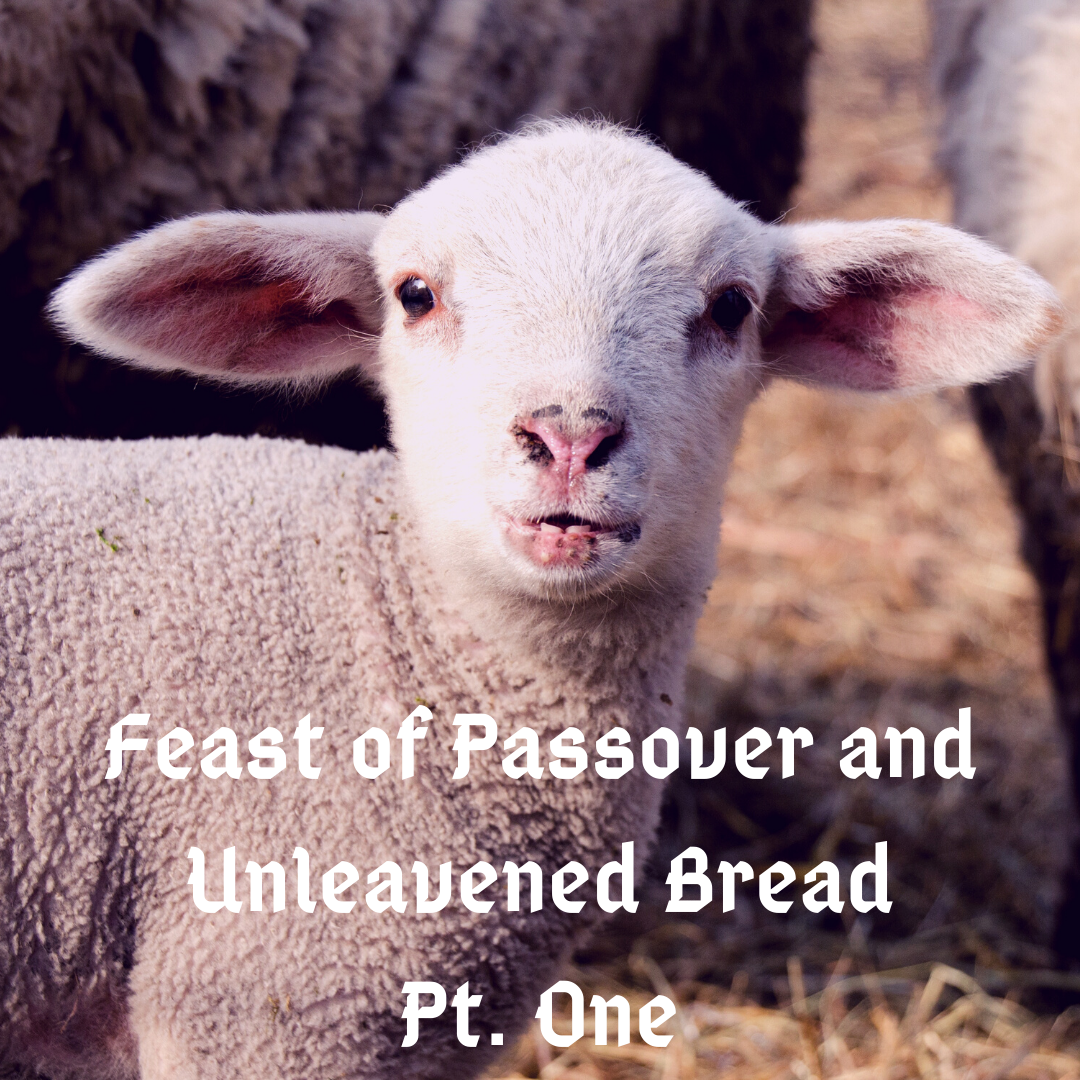 Feast of Passover and Unleavened Bread: Part One - HoldToHope