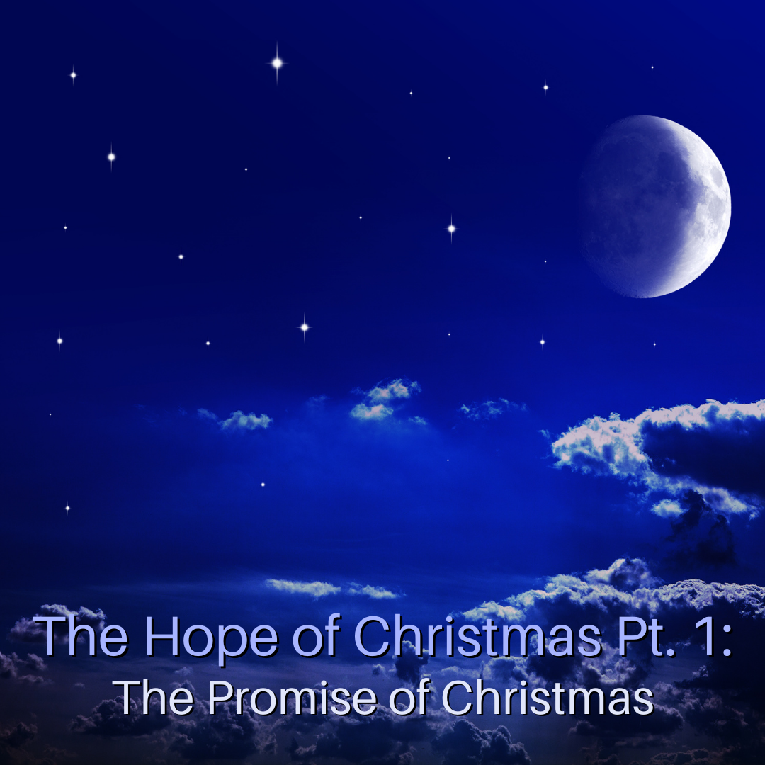 The Hope of Christmas Pt. 1: The Promise of Christmas - HoldToHope