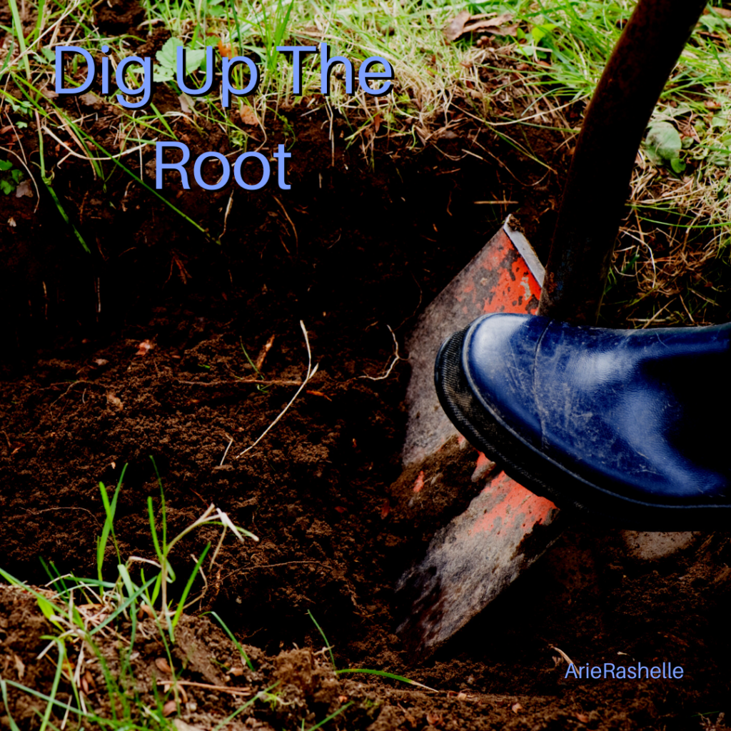 Dig Up The Root - HoldToHope